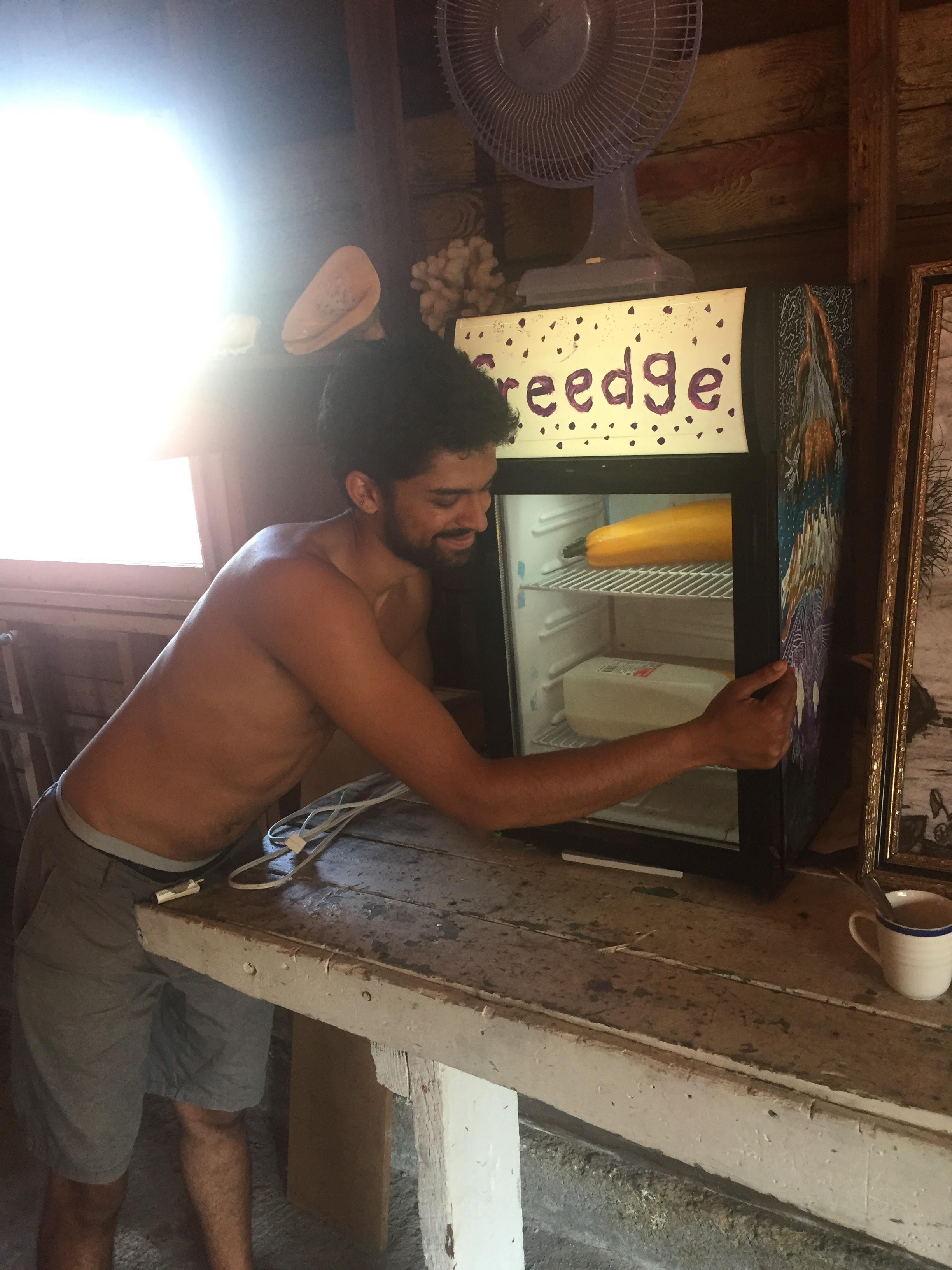 freedge – | community fridges